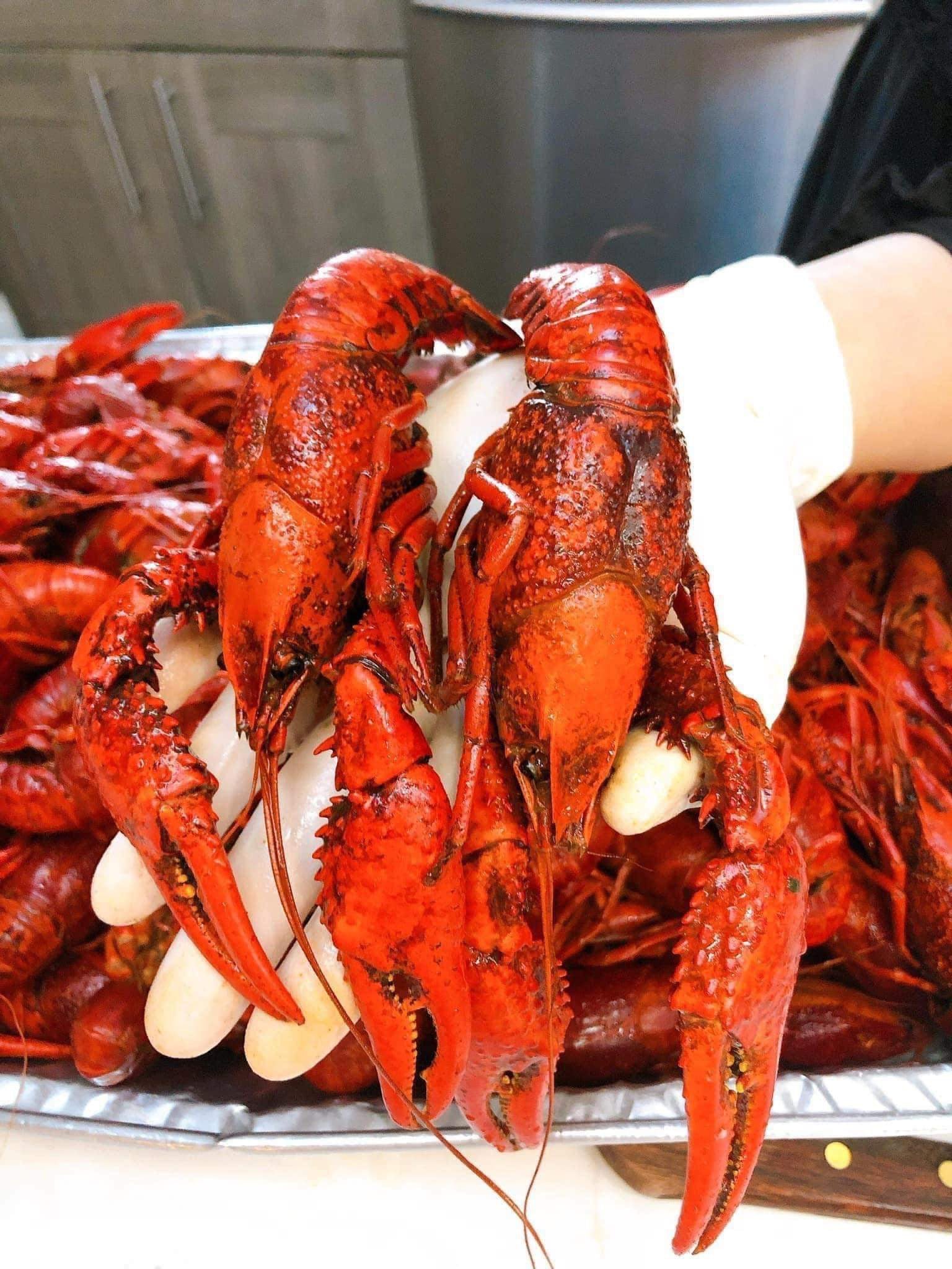 BEST CRAWFISH LLC WHOLESALE & RETAIL SEAFOOD – bestcrawfishllc